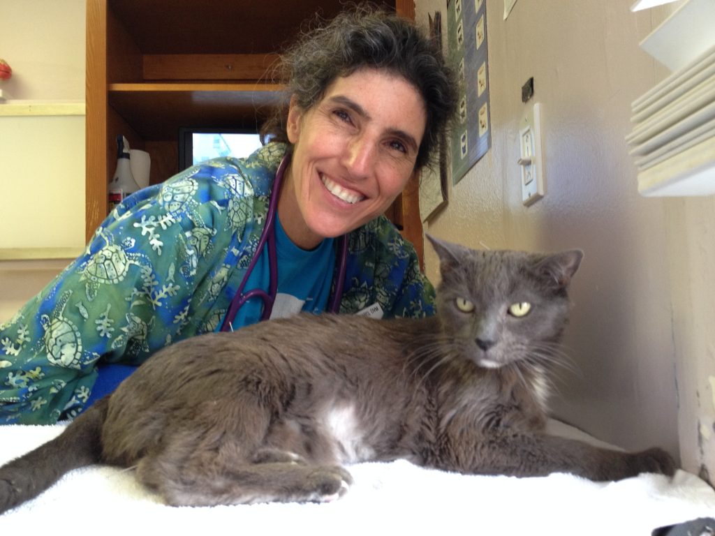 Traditional Chinese Veterinary Medicine (TCVM) basics - Dr Angel ...